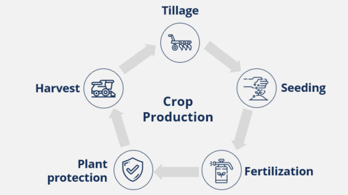 Gabriel Lip, VP, Commercial Credit & Banking at CFI
